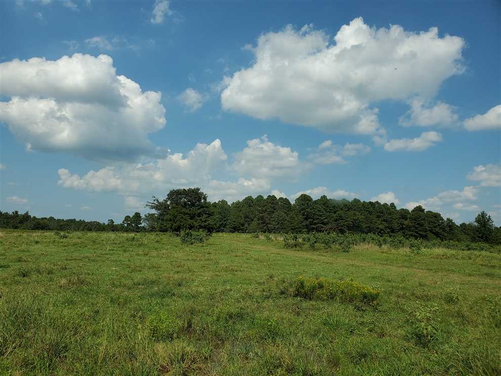 20 Acres of Land for Sale in van buren County, Arkansas