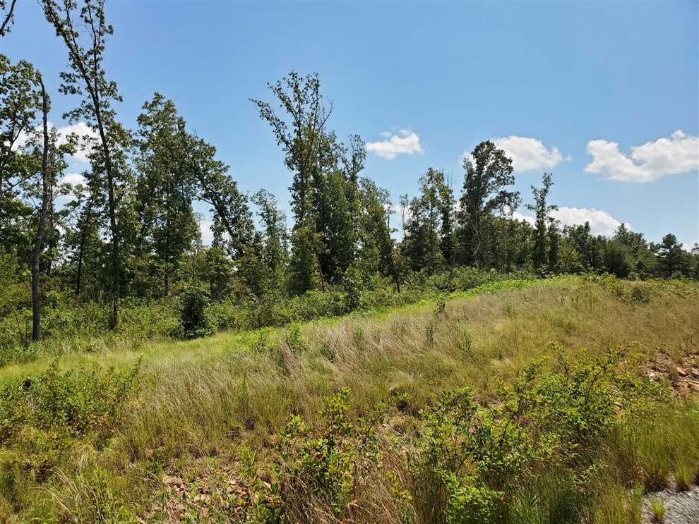 20 Acres of Land for Sale in van buren County, Arkansas